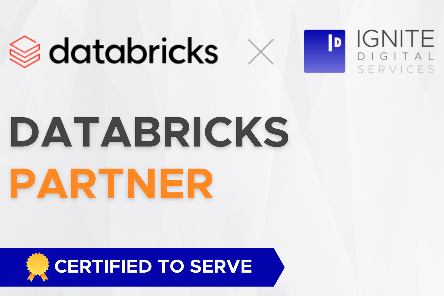 Ignite Digital Services Cements Databricks Partnership - Ignite Digital Services